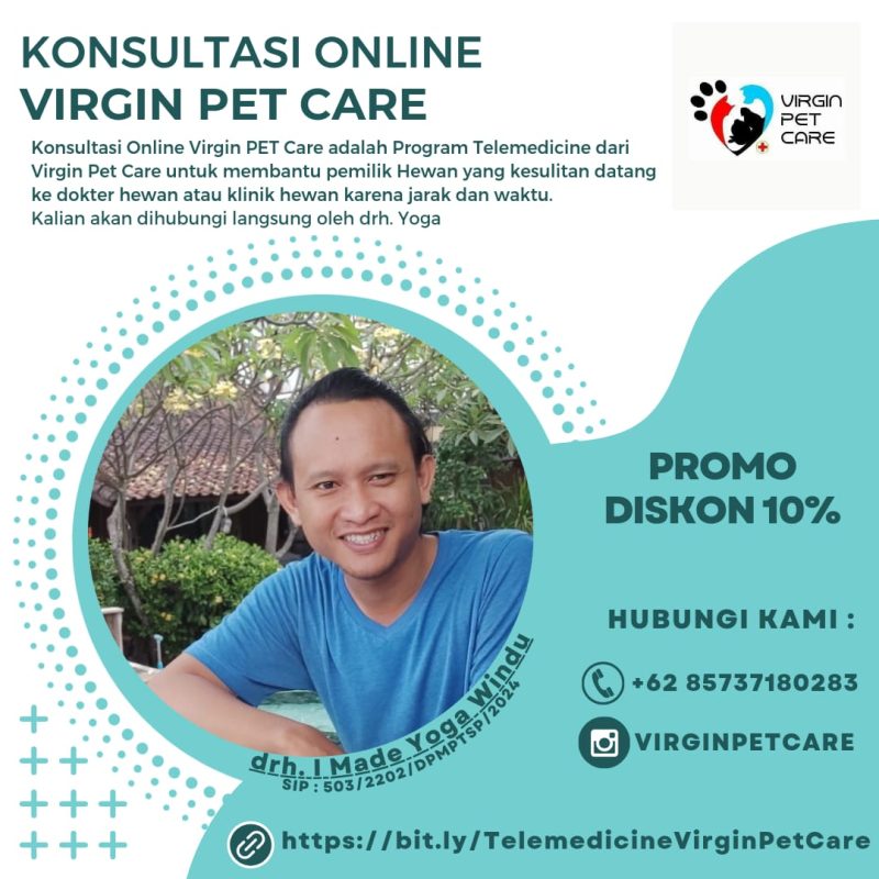 Diskon 10% untuk konsultasi online & Free Resep Obat. – Virgin Pet Care